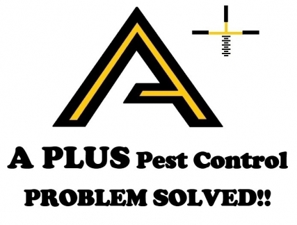 A Plus Pest Control, Pest Control In Ashford